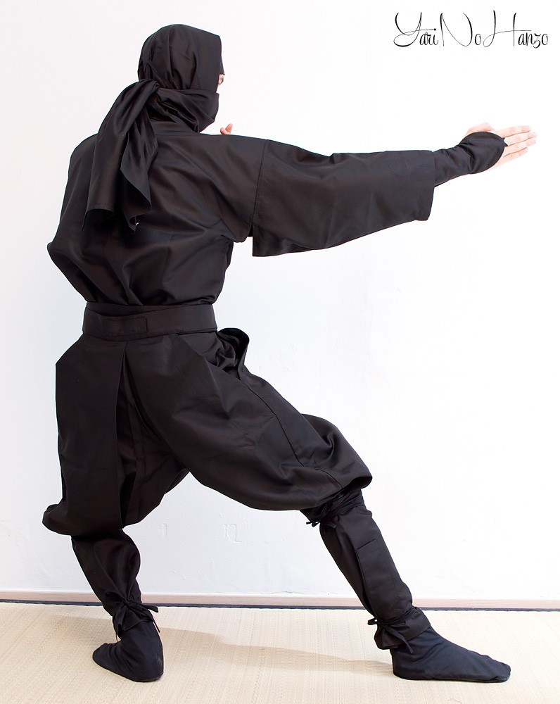 Traje Ninja Tradicional Tipos De Trajes Ninja | Wiki Ninjago | Fandom